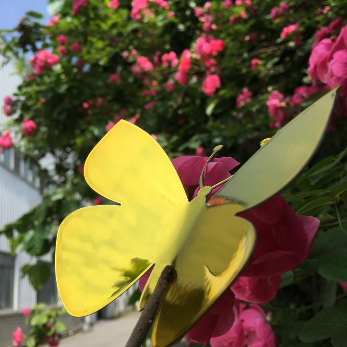 High Gloss Clear Thermoset Powder Coating Advanced Candy Yellow Gold Finish