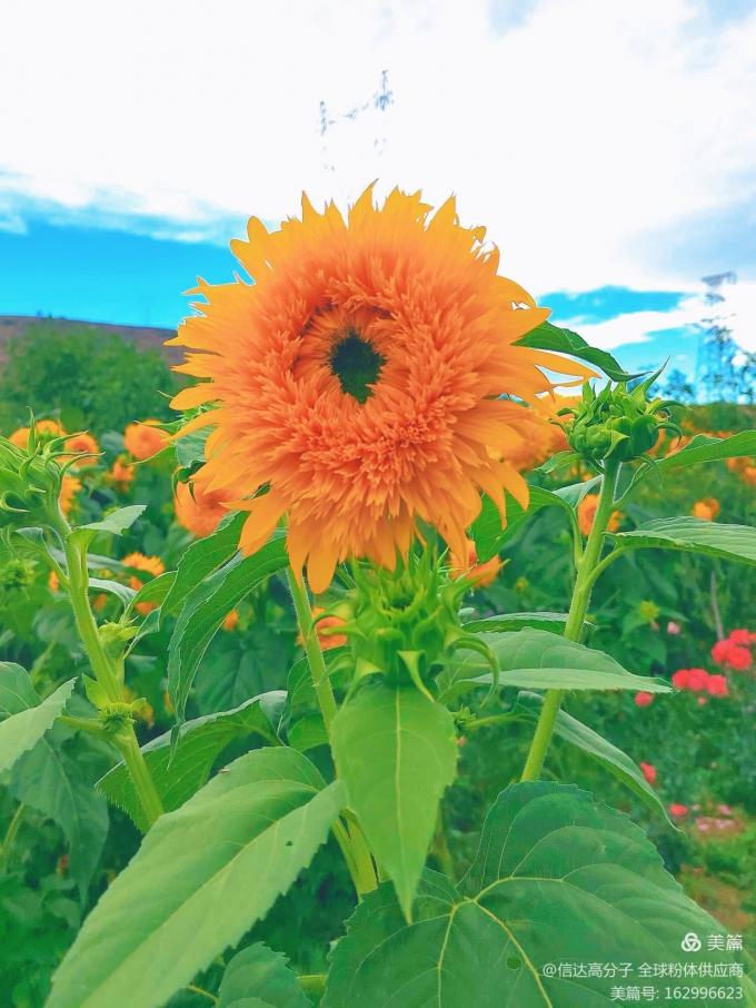 HSINDA 2024 New Packaging Launch Connecting the World and Embracing the ...